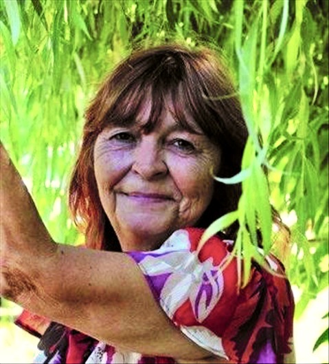 Deborah K. (Lehman) Ditch | News, Sports, Jobs - Observer Today